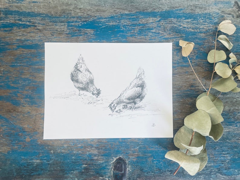 Original Chicken Hen Ink Drawing Art. Wildlife Art. Original Unframed ...