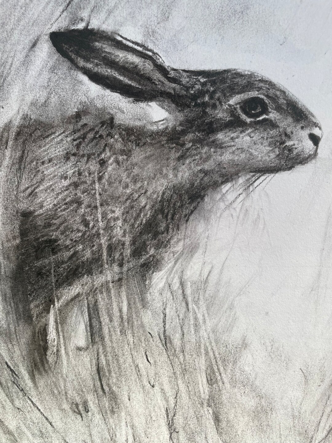 Original Hare Charcoal Drawing Art. Wildlife Art. Original Hare ...