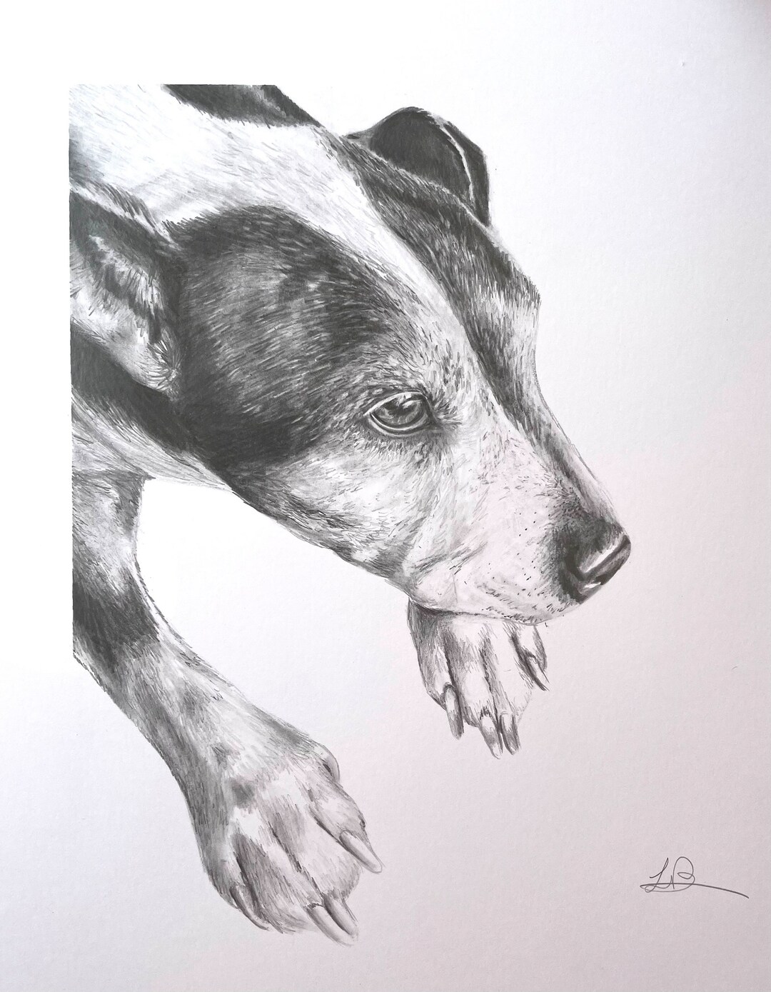 Custom Pet Portrait Drawing Commission. Animal Art. Dog - Etsy