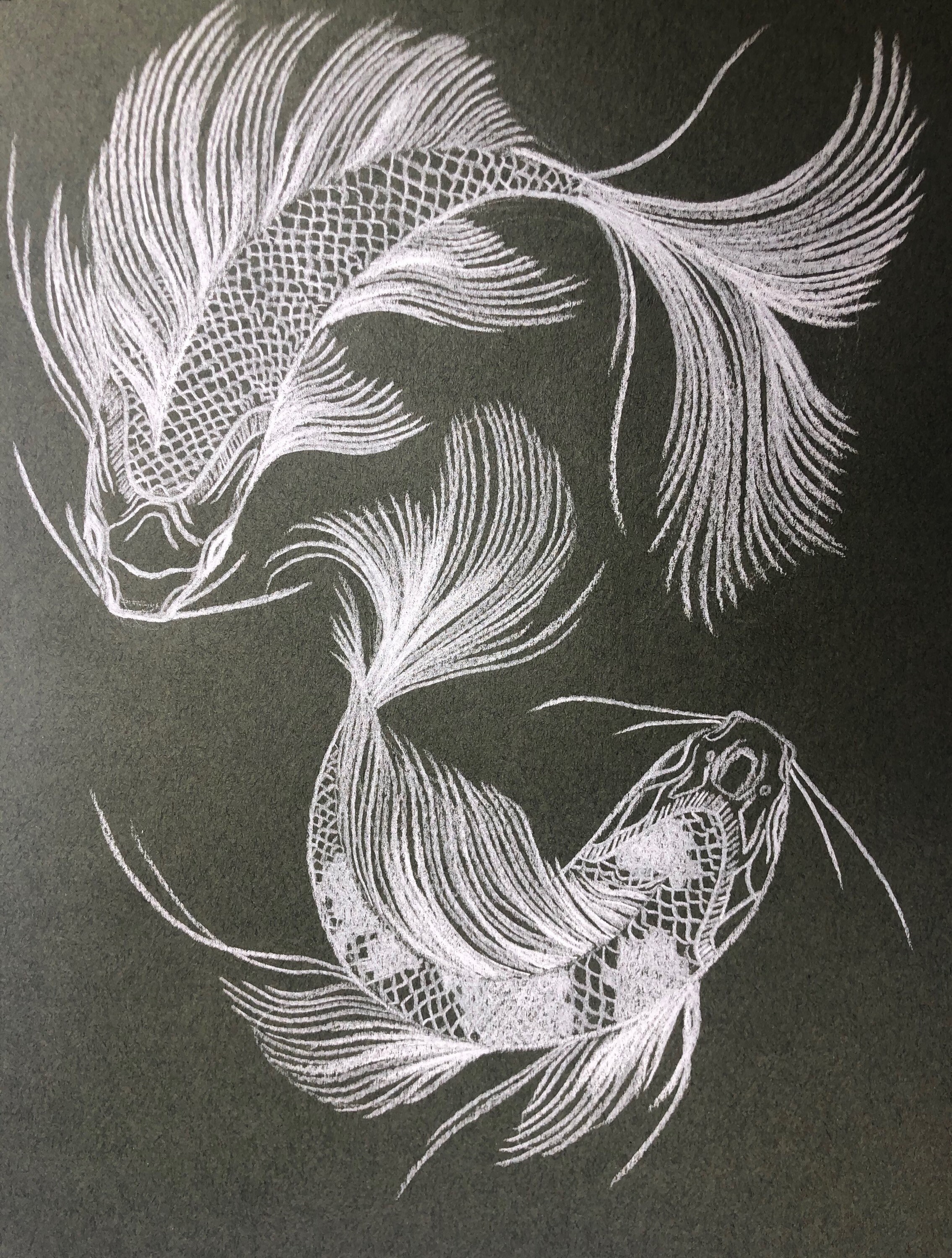 Koi Fish Drawing In Pencil