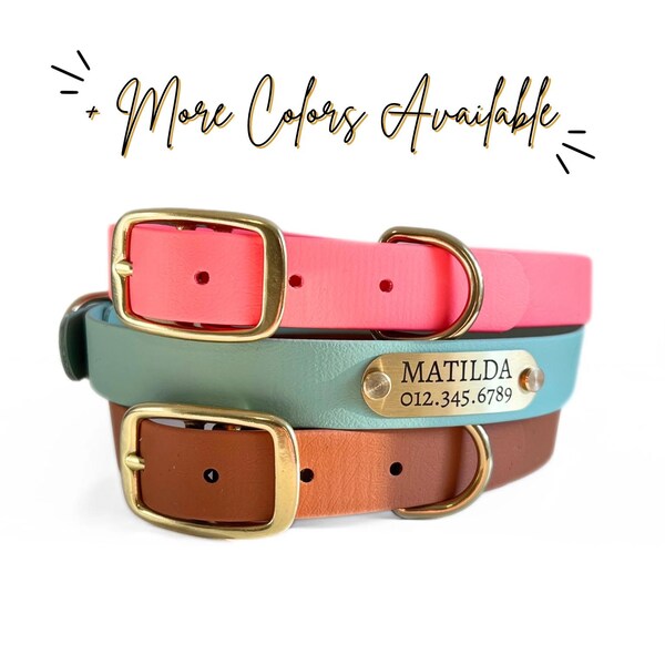 Hardware for Dog Collars - Etsy