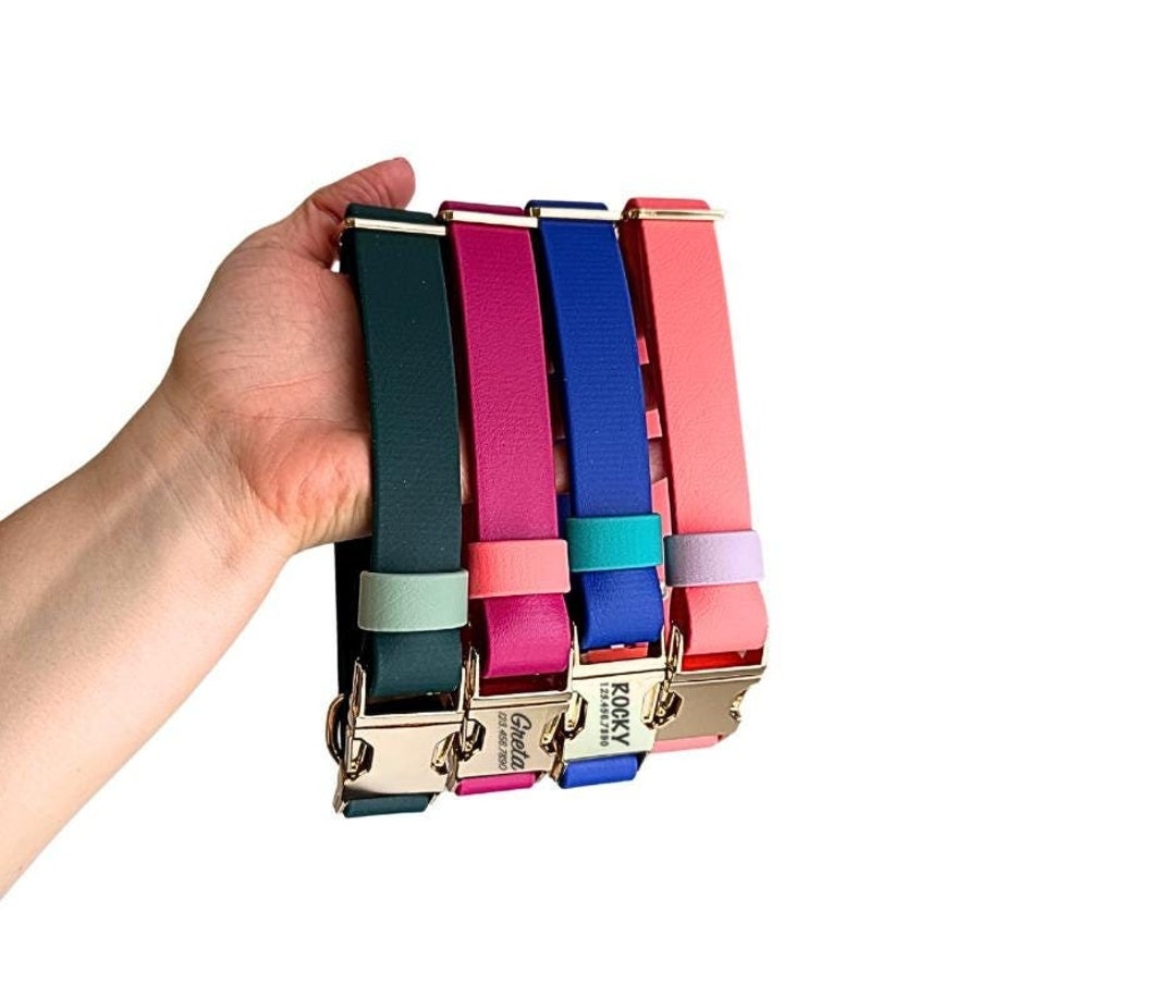 Engraved Biothane® Dog Collar | Personalized Waterproof Dog Collar ...