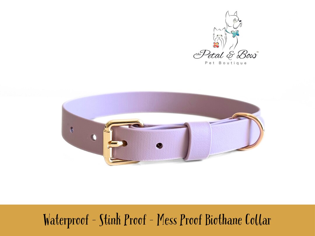 Biothane Dog Collar Odor and Water Resistant Dog Collar: Make Your Own ...