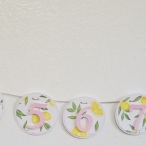 Lemon Photo Banner, First Year Banner, 12 Month Banner, Photo Banner ...