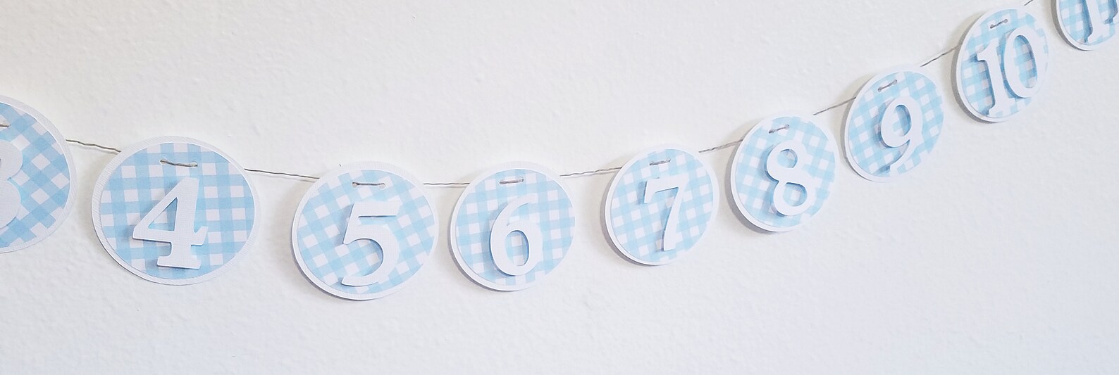 Gingham Photo Banner first year banner 12 month banner | Etsy