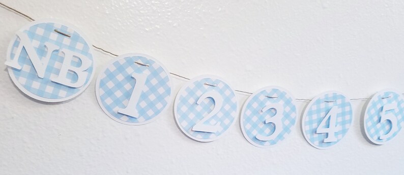 Gingham Photo Banner First Year Banner 12 Month Banner | Etsy
