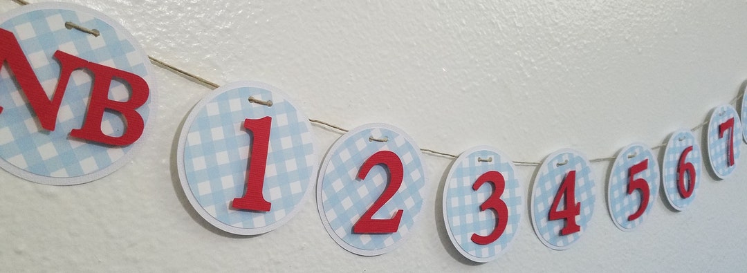 Gingham Photo Banner, First Year Banner, 12 Month Banner, Photo Banner ...