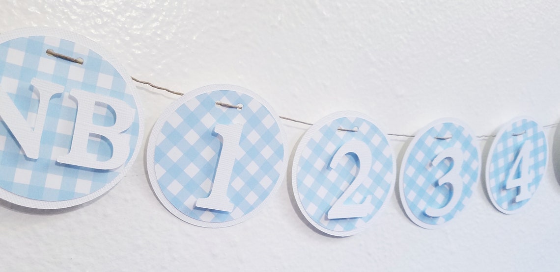 Gingham Photo Banner first year banner 12 month banner | Etsy