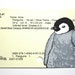 Baby Penguin Library Cart Art - Print of My Painting of a Baby Penguin ...