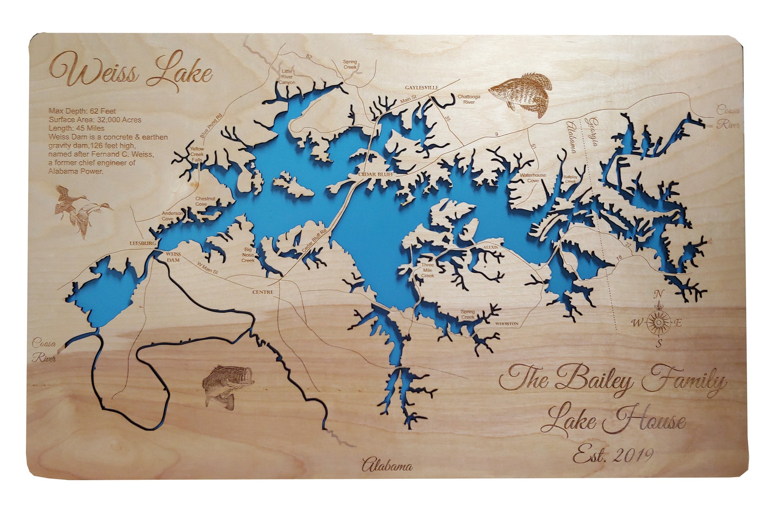 Weiss Lake in Cherokee County Alabama and Floyd County | Etsy