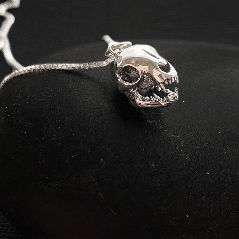 Cats Skull Necklace - Etsy