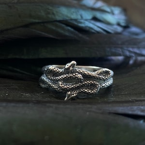 Sterling Silver Snakes Ring. Snake Jewelry, Serpent Ring, Gothic ...