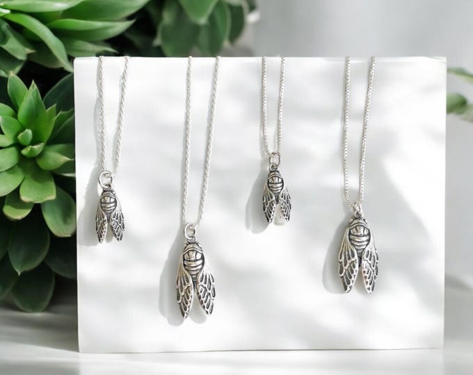 Silver Cicada Locket Necklace: Hidden Compartment Bug Pendant - Etsy