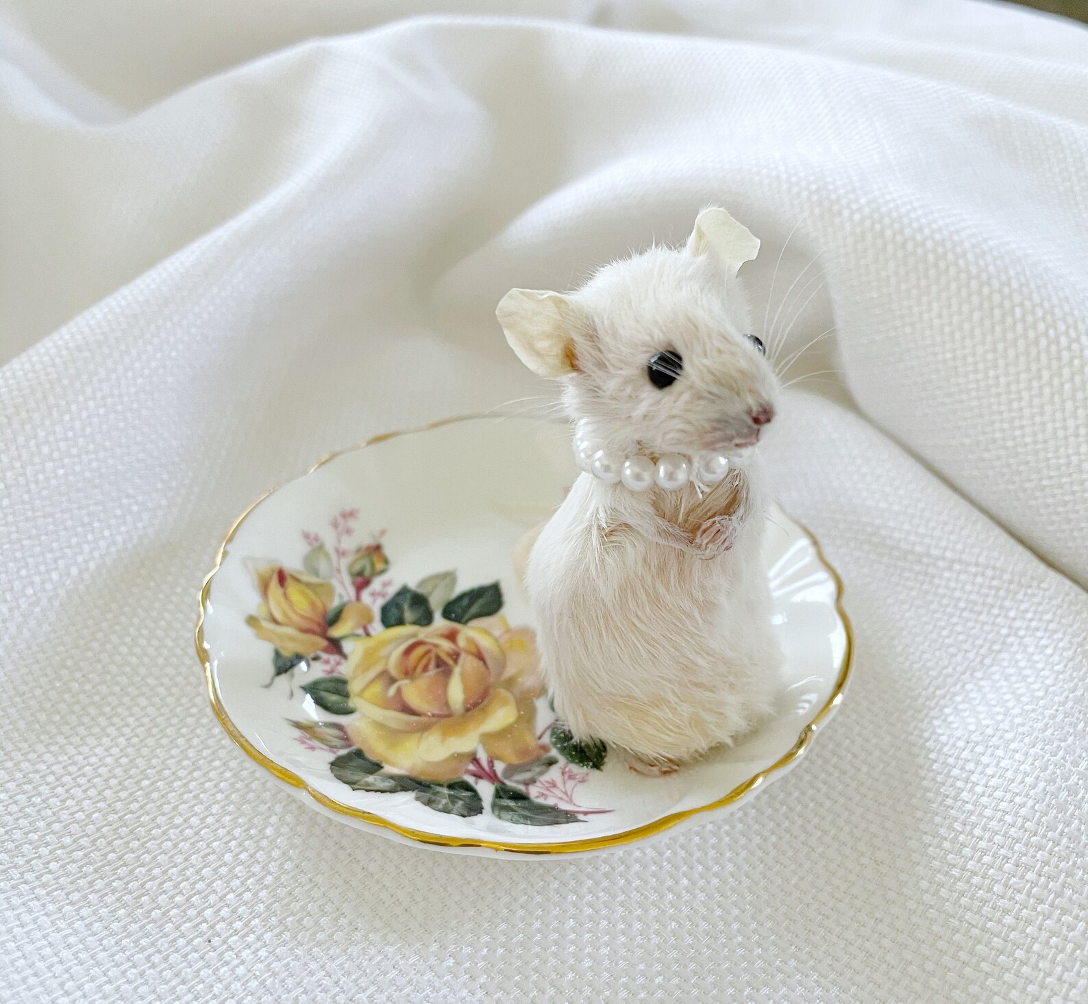 Taxidermy Mouse | Etsy