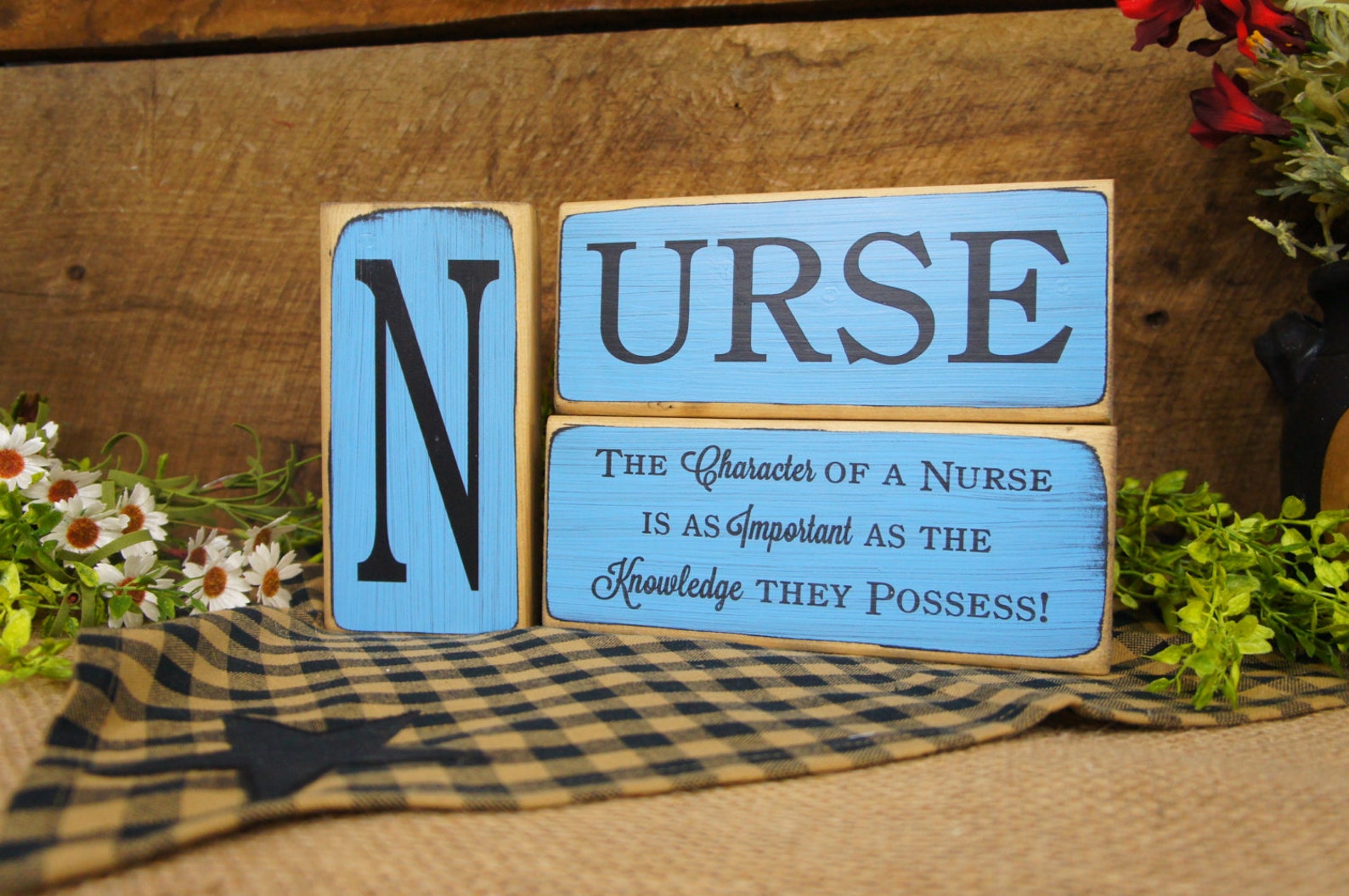 Nurse the Character of a Nurse is as Important as the - Etsy