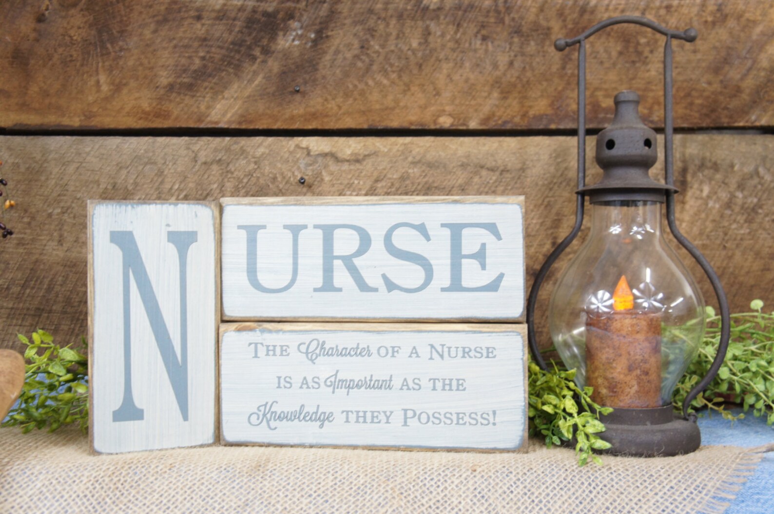 Nurse the Character of a Nurse is as Important as the - Etsy