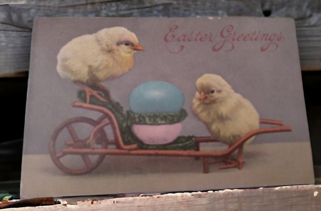 Antique Easter Chicks Eggs Postcard - Etsy
