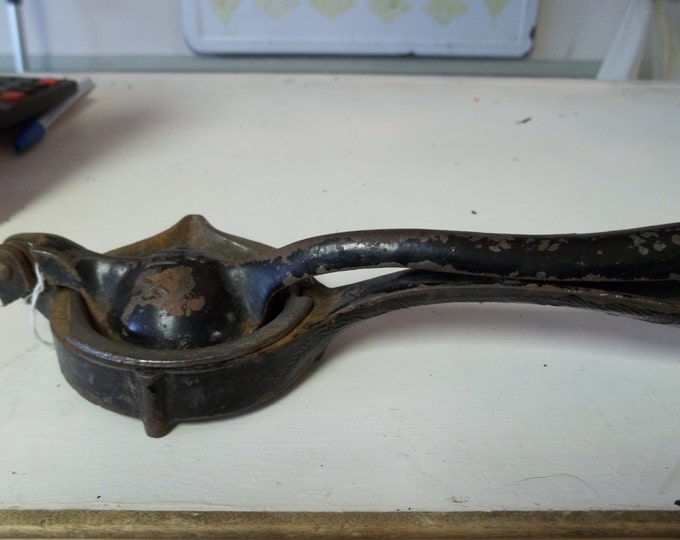 Antique Cast Iron X RAY 5 Lemon Squeezer - Etsy