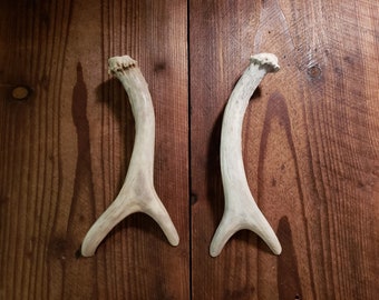 Makers of the Finest Antler Handles Knobs by AntlerArtisans
