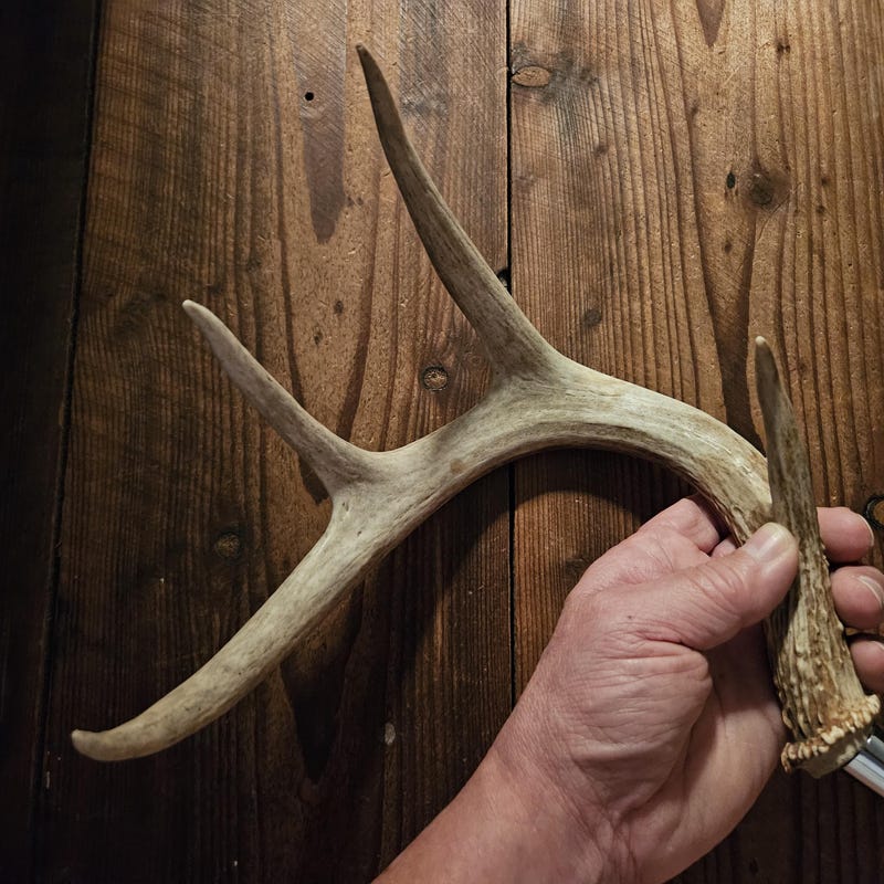 AntlerArtisans - Etsy