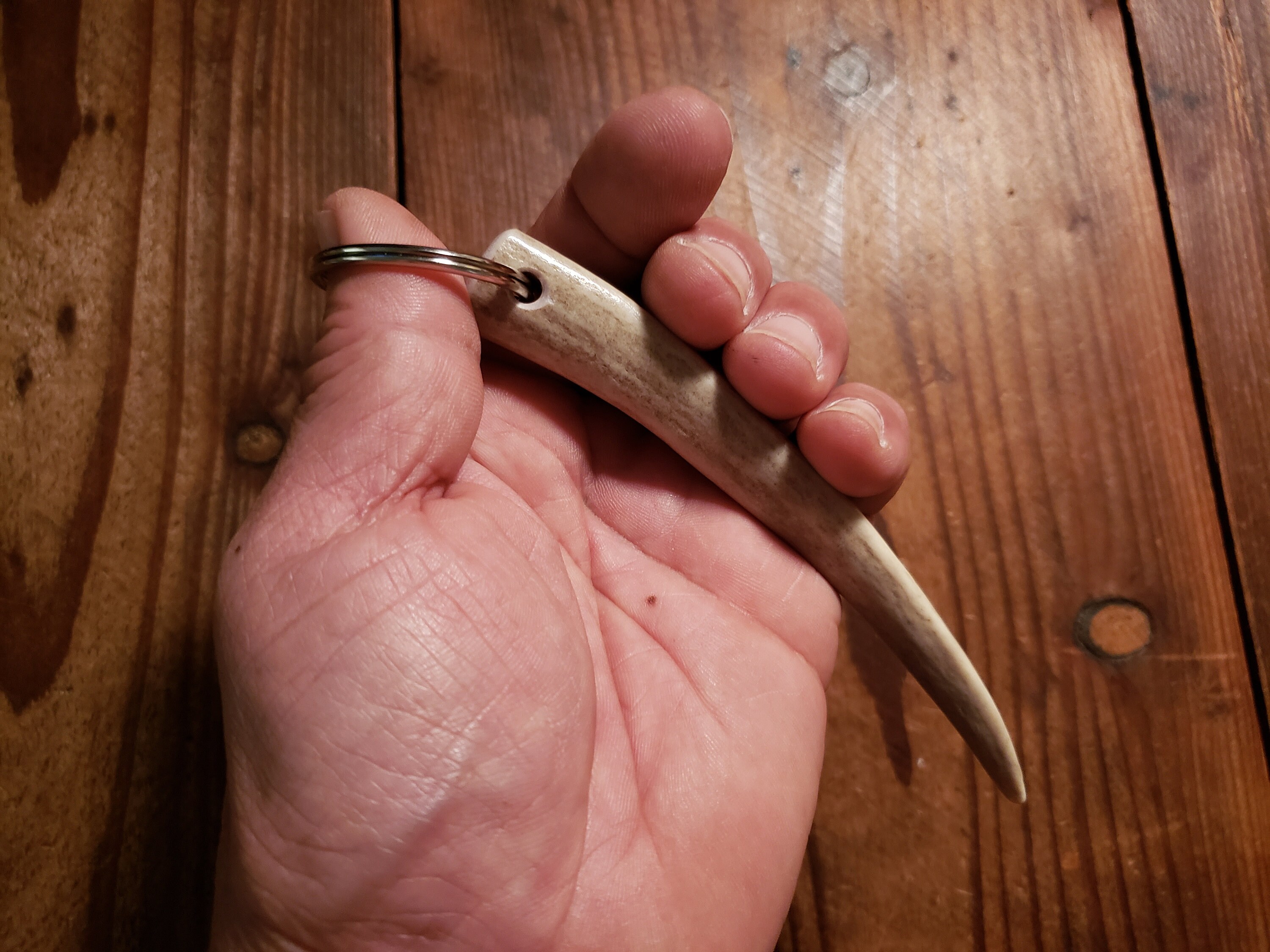 5" Real Deer Antler Guardian Key Ring Drilled Spike Antler Tip Tine ...