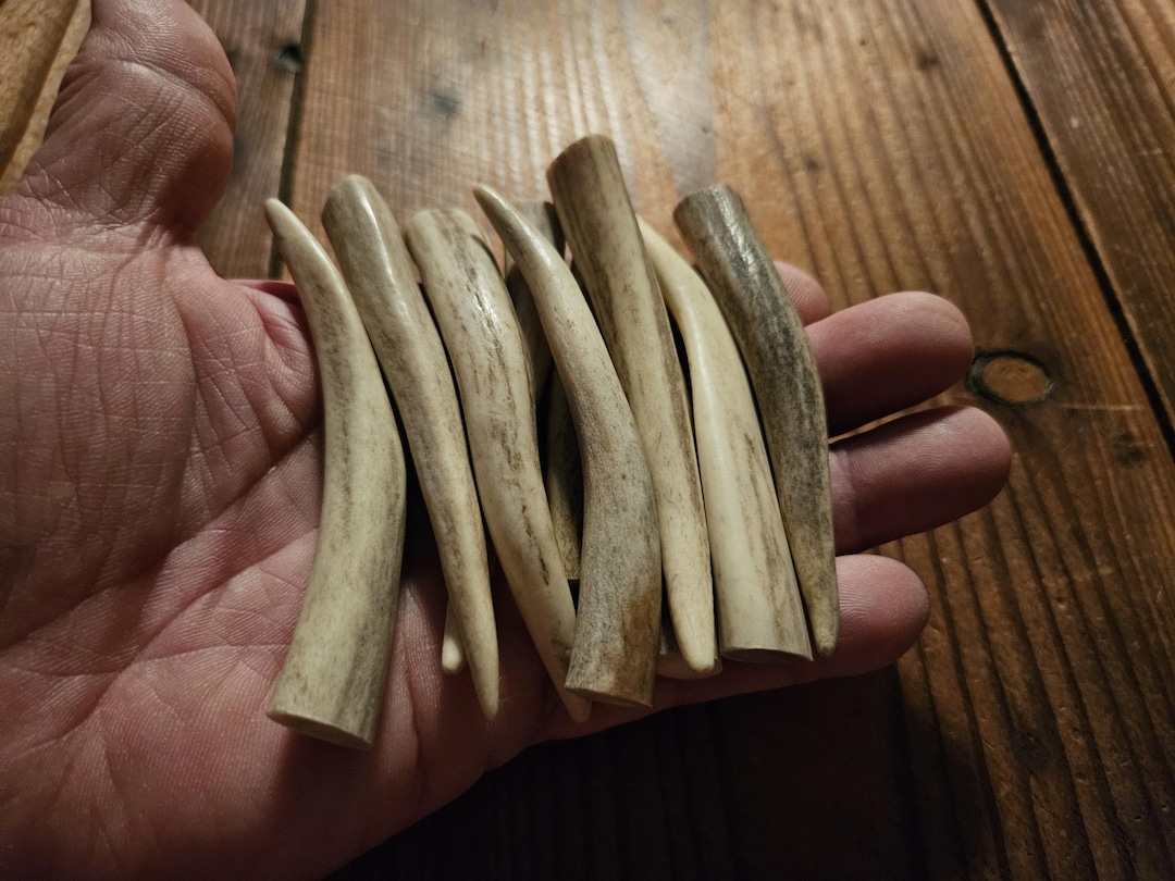 10 Deer Antler Tips Tines Points 3" to 4" for Crafting, Jewelry ...