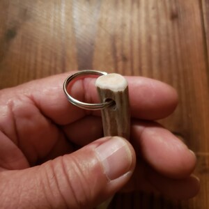4" Real Deer Antler Guardian Key Ring Zipper Pull Drilled Spike Antler ...