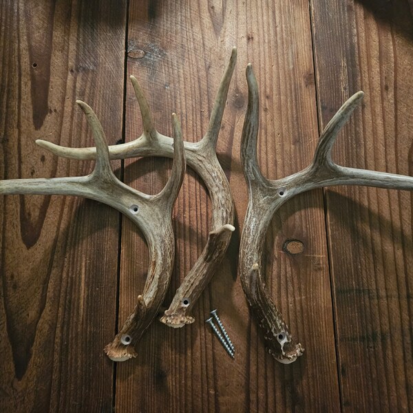 Antler Rack - Etsy