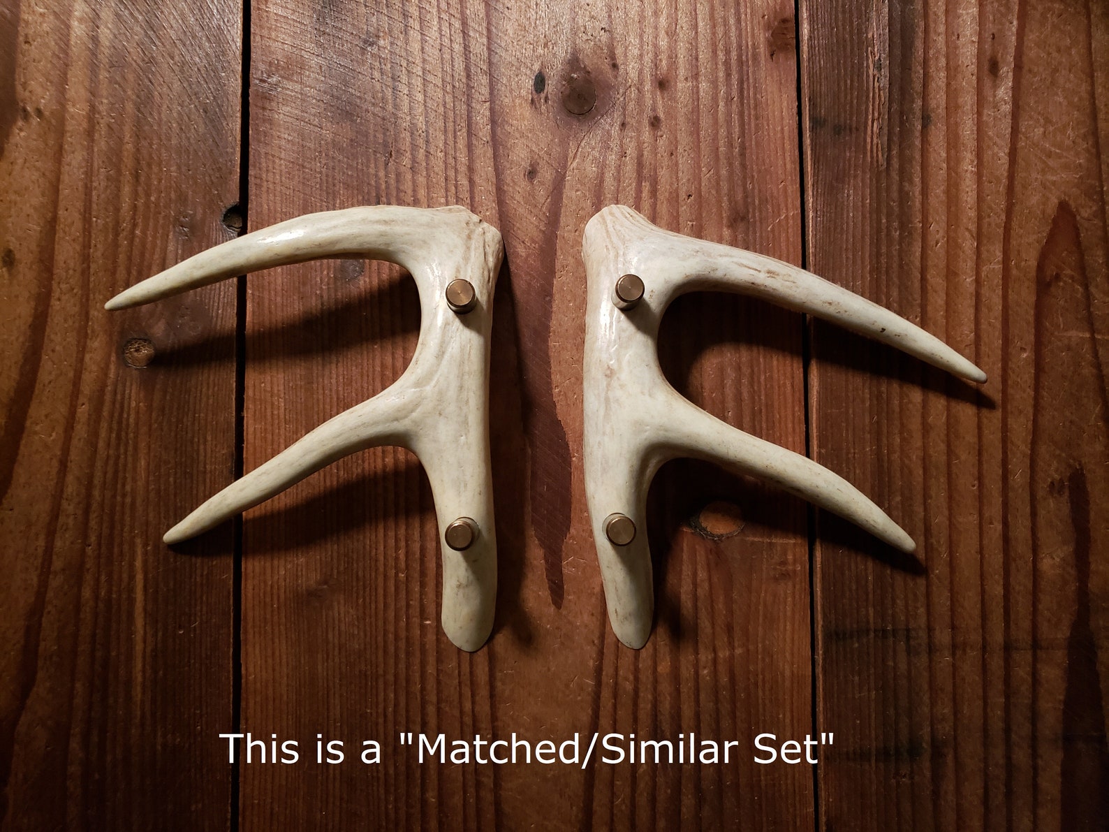 Wild 3 Tine Antler Handle Handles Real Whitetail Deer - Etsy