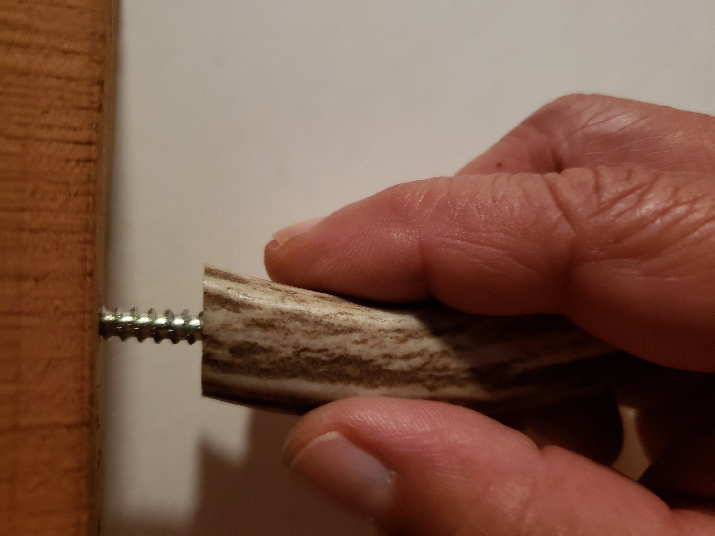 Real 3" Antler Crown Wall Hook Screw Into Stud Through Drywall, Wood ...