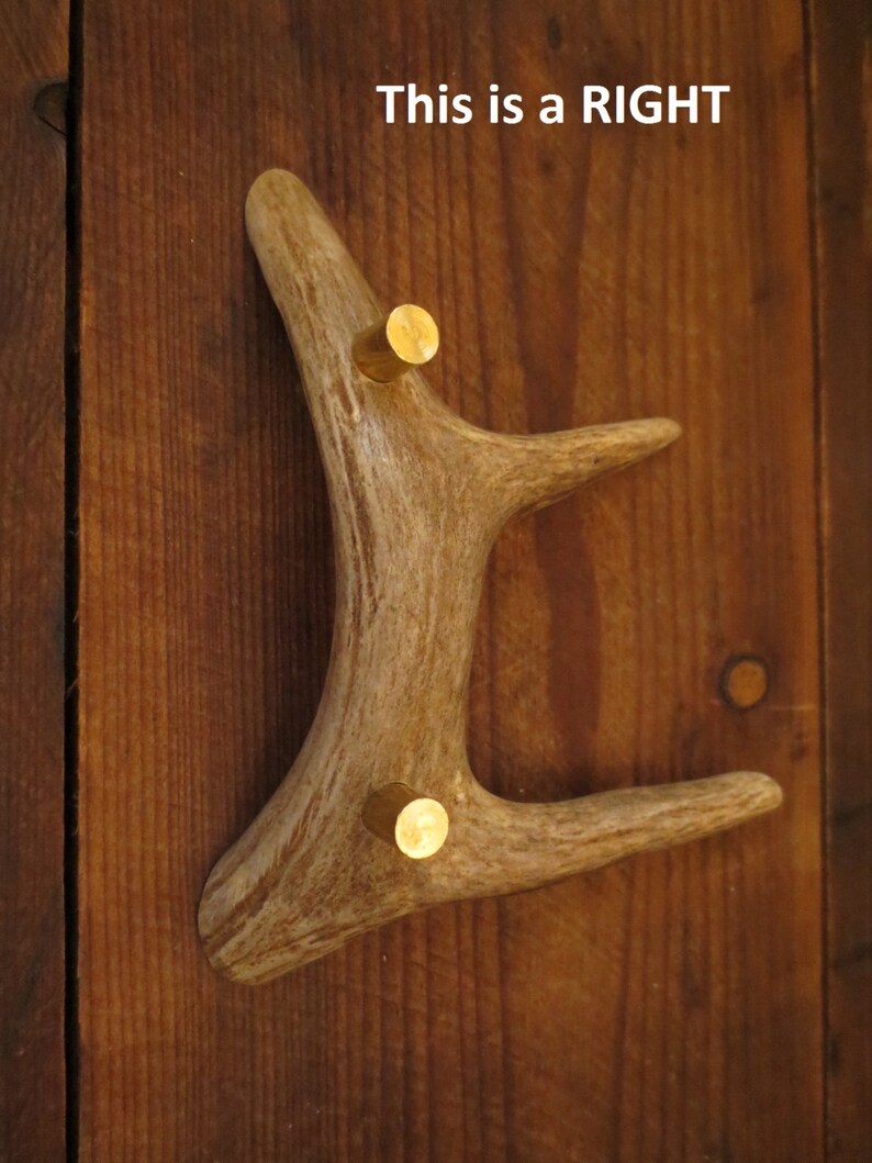 Wild 3 Tine Antler Handle Handles Real Whitetail Deer | Etsy