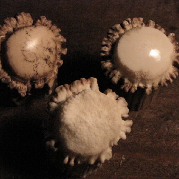 Bone Knobs - Etsy UK