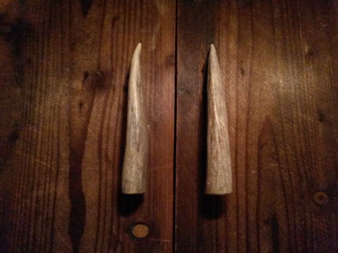 Real Deer Tip Handle 6" Antler Handles Antler Tine Pulls for Cabinet ...