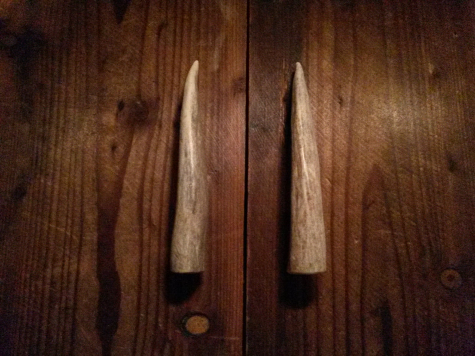 Real Deer Tip Handle 6" Antler Handles Antler Tine Pulls for Cabinet ...