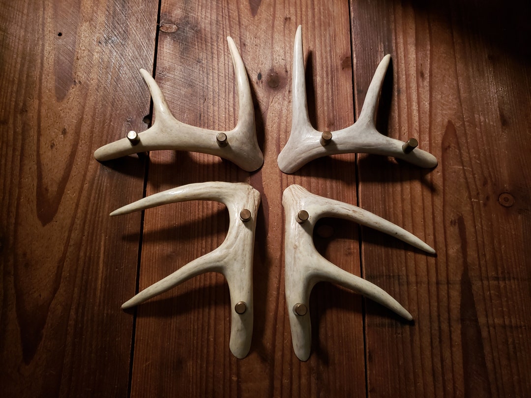 Wild 3 Tine Antler Handle, Handles, Real Whitetail Deer Antler, for ...