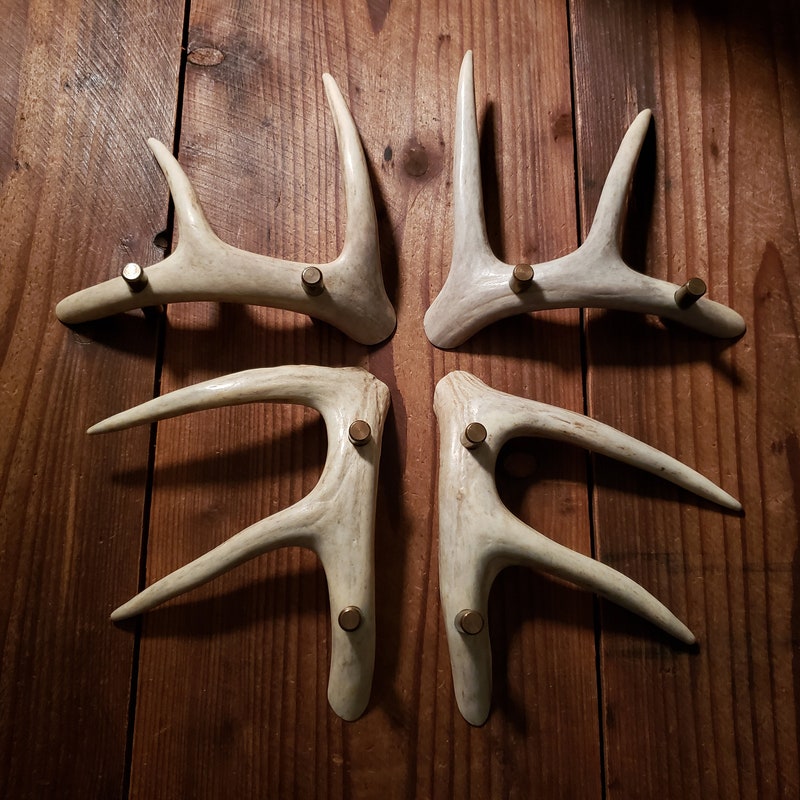 Deer Antlers - Etsy
