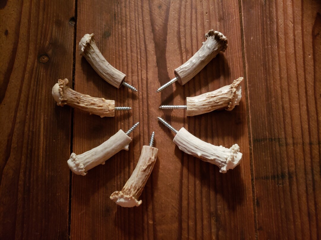 Real 2.5" Antler Crown Wall Hook Screw Into Stud Through Drywall, Wood ...