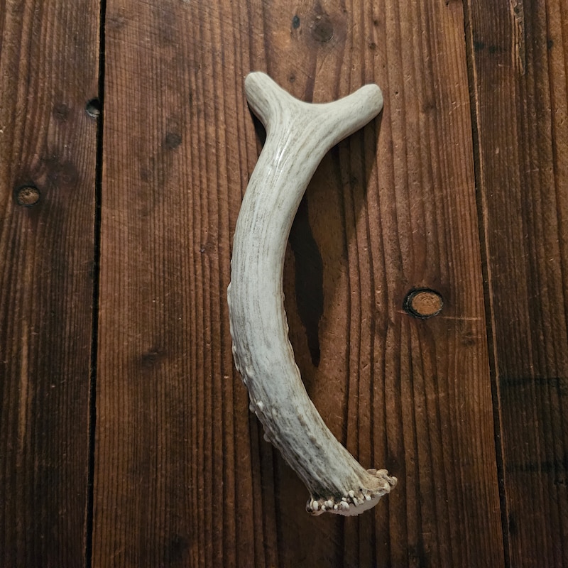 Deer Antler Handle - Etsy