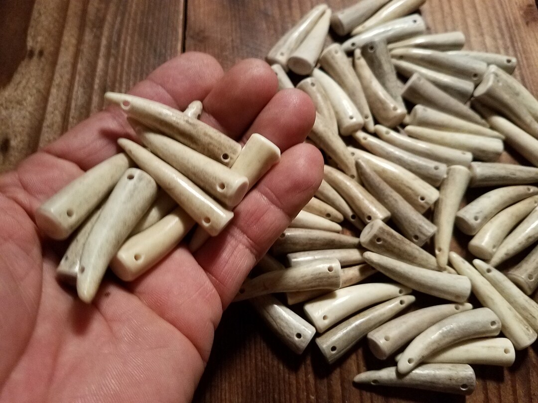 1-3/4" Real Deer Antler Tips Double Drilled Link Antler Tips Antler ...