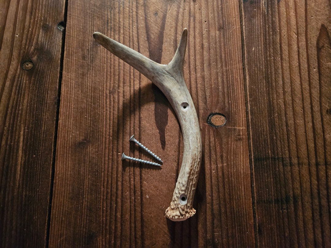 Whitetail Antler Wall Hook, Coat Rack, Jewelry Holder, Fishing Fly Rod ...