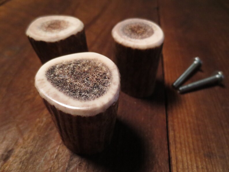 Real Elk Antler Knob Knobs Pulls for Cabinet Doors, Drawers, Dressers ...
