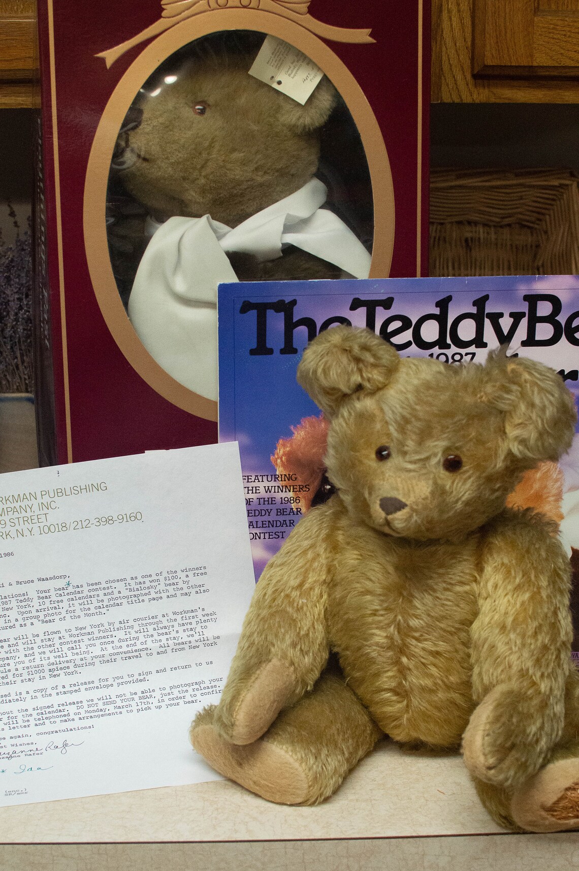 Rare and Important Documented Award Winning Jointed Teddy Bear Vintage ...