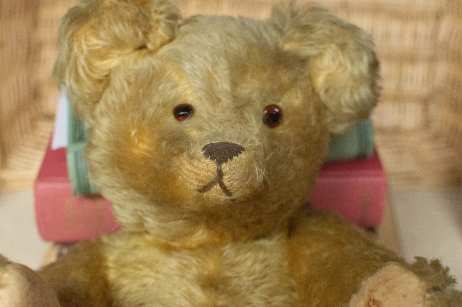 Rare and Important Documented Award Winning Jointed Teddy Bear Vintage ...