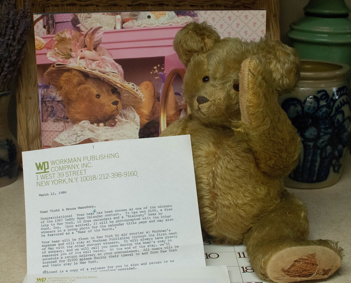 Rare and Important Documented Award Winning Jointed Teddy Bear Vintage ...