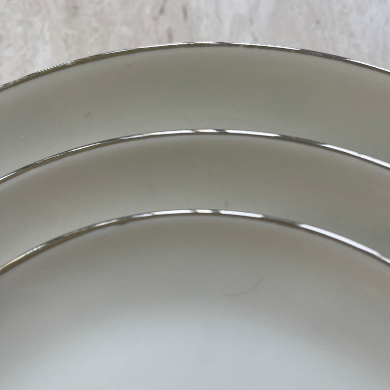 Embassy Rose Dinnerware USA Vitrified China - Etsy