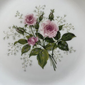 Embassy Rose Dinnerware USA Vitrified China - Etsy