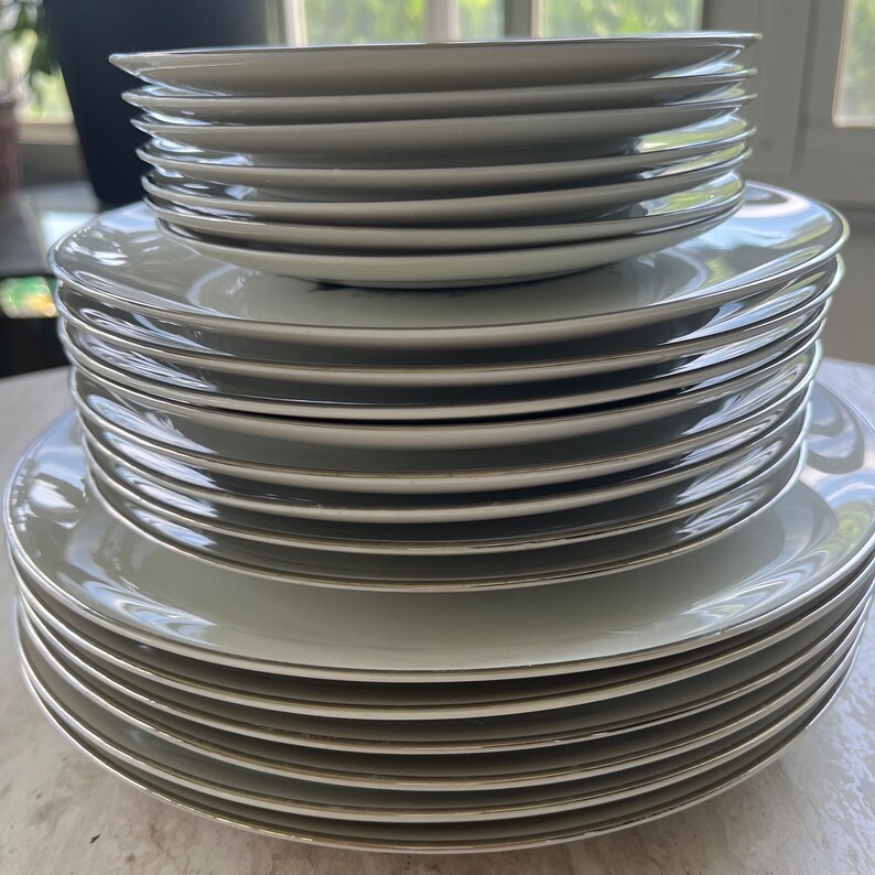 Embassy Rose Dinnerware USA Vitrified China - Etsy