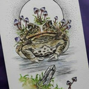 Witches Toad Familiar. Magical Print - Etsy