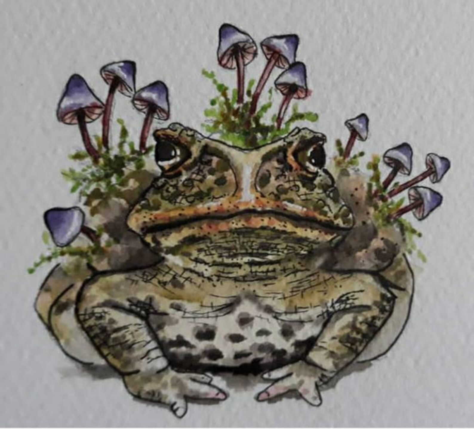 Witches Toad Familiar. Magical Print - Etsy
