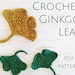 Crochet Leaf Pattern - Ginkgo Leaf Including Step by Step Written ...
